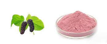 Mulberry Fruit Extract- Light Pink" – Deoorganic